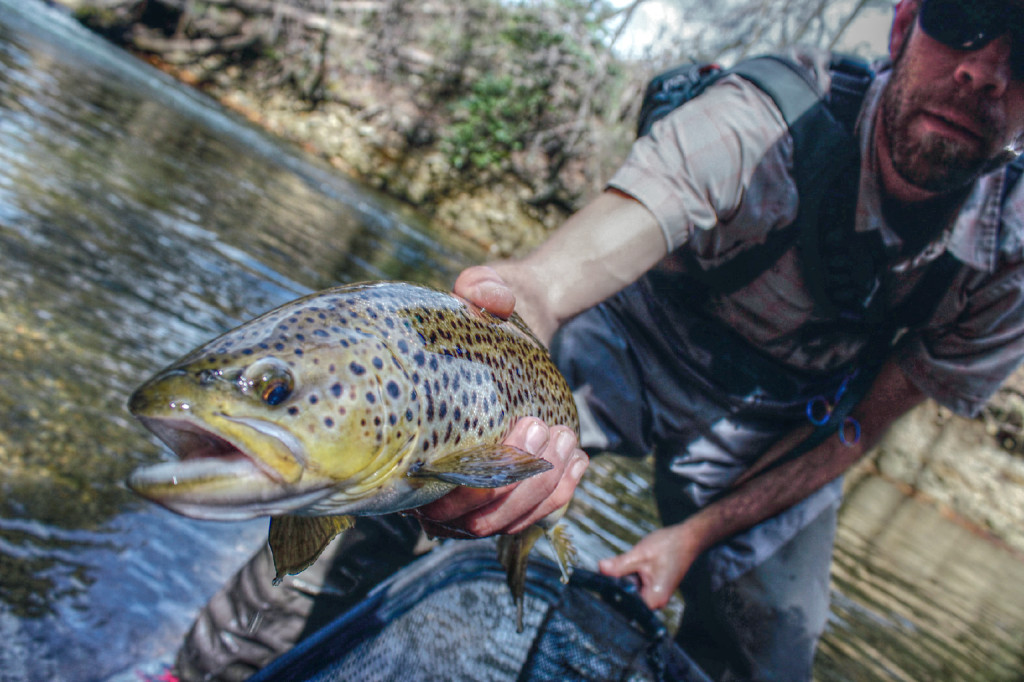 Brevard Fly Fishing Video | Native Eyewear - Land of Sky Media